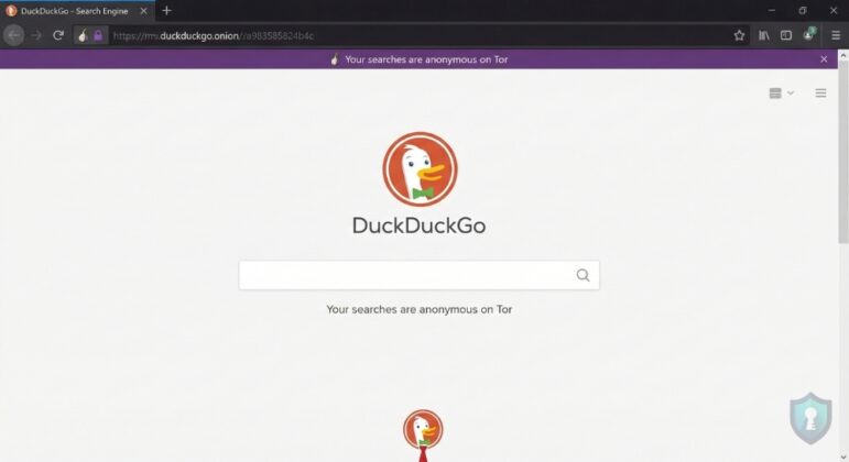 The Best Dark Web Search Engines (Top 8 Onion 2026)